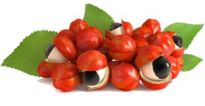 Consumer Health Brainol Review | Mommy Authority